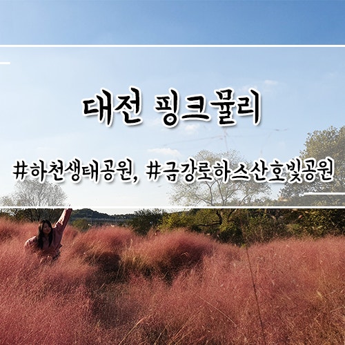 어쩌다보니 대전에 가있더라 대전 핑크뮬리 신탄진 네이버 블로그