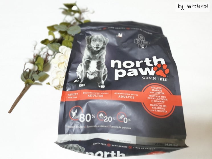 [노스포(north paw) 랍스타]캐나다에서 온 반려동물을 위한 완벽한 사료 : 네이버 블로그