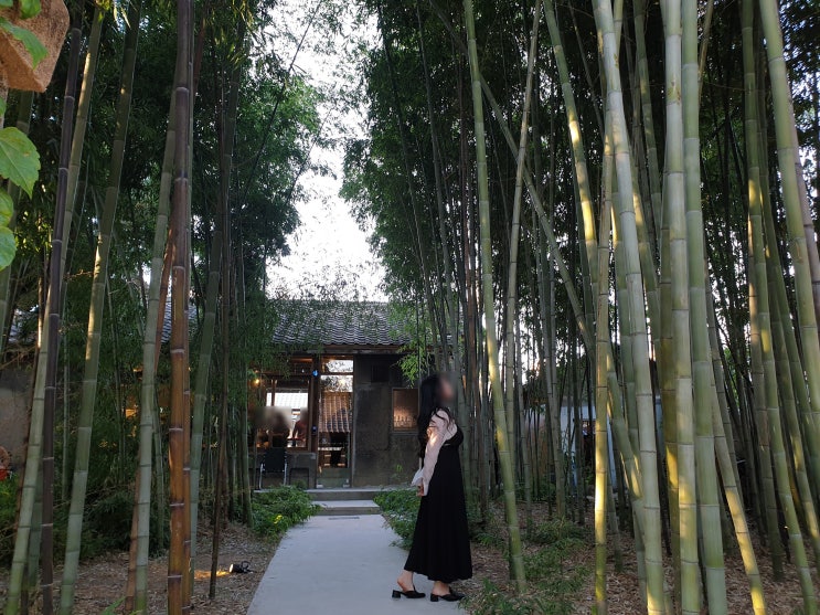 풍뉴가 대나무숲 카페, 인생샷의 성지 : 네이버 블로그