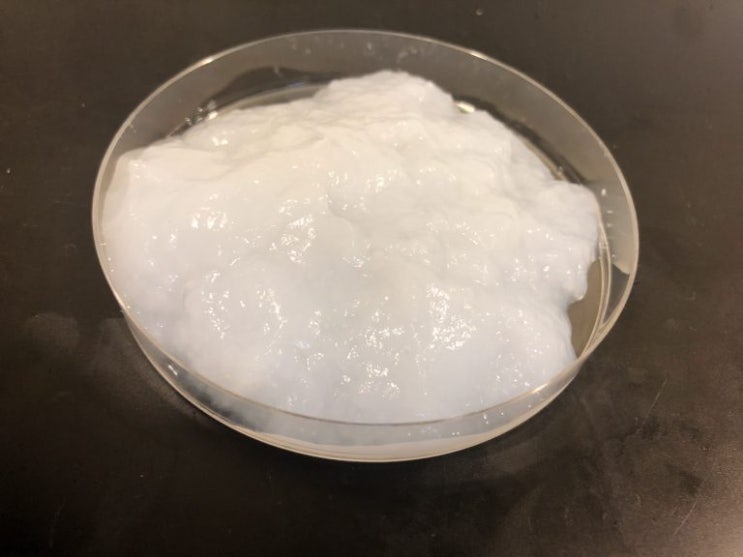 [Cellulose labs] BC (Bacterial Cellulose; Microbial Cellulose ...