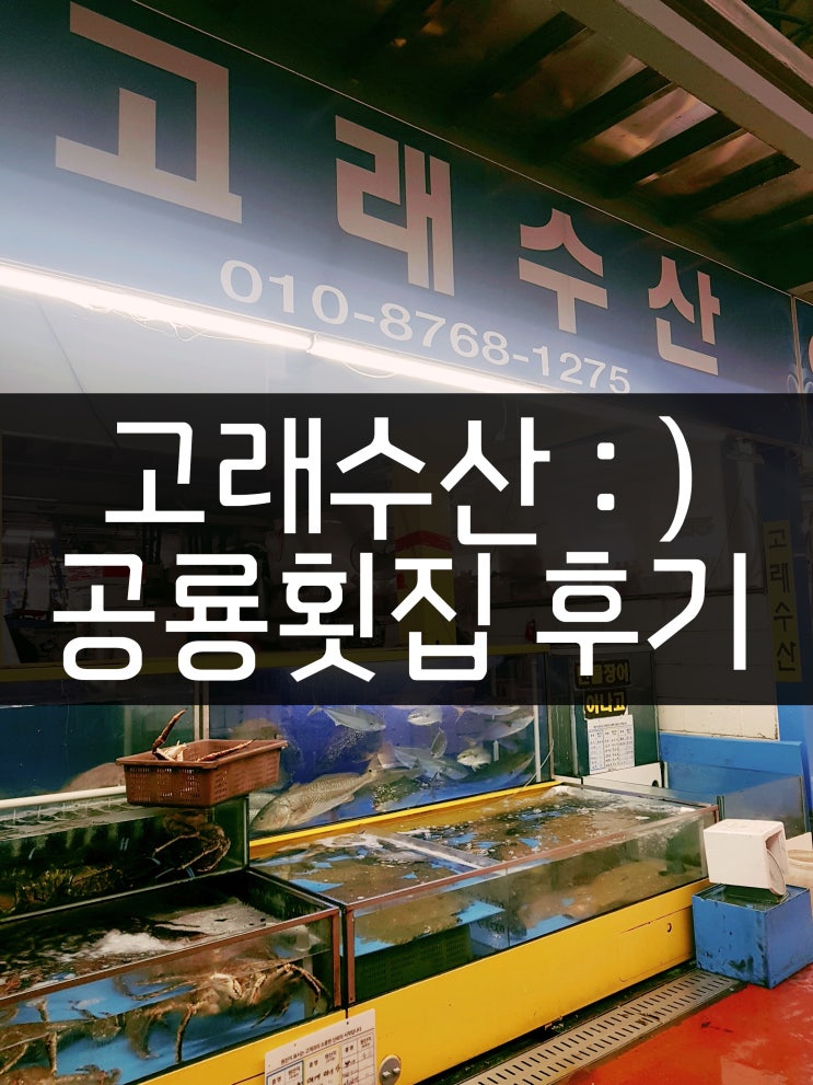 구리농수산물시장 고래수산 킹크랩 광어회 석화 산낙지 파티 공룡횟집 엄청 푸짐한 맛집♥ 네이버 블로그