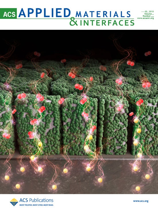 Applied Materials & Interfaces_ACS/논문커버디자인/Journalcover/논문표지/3D디자인 ...