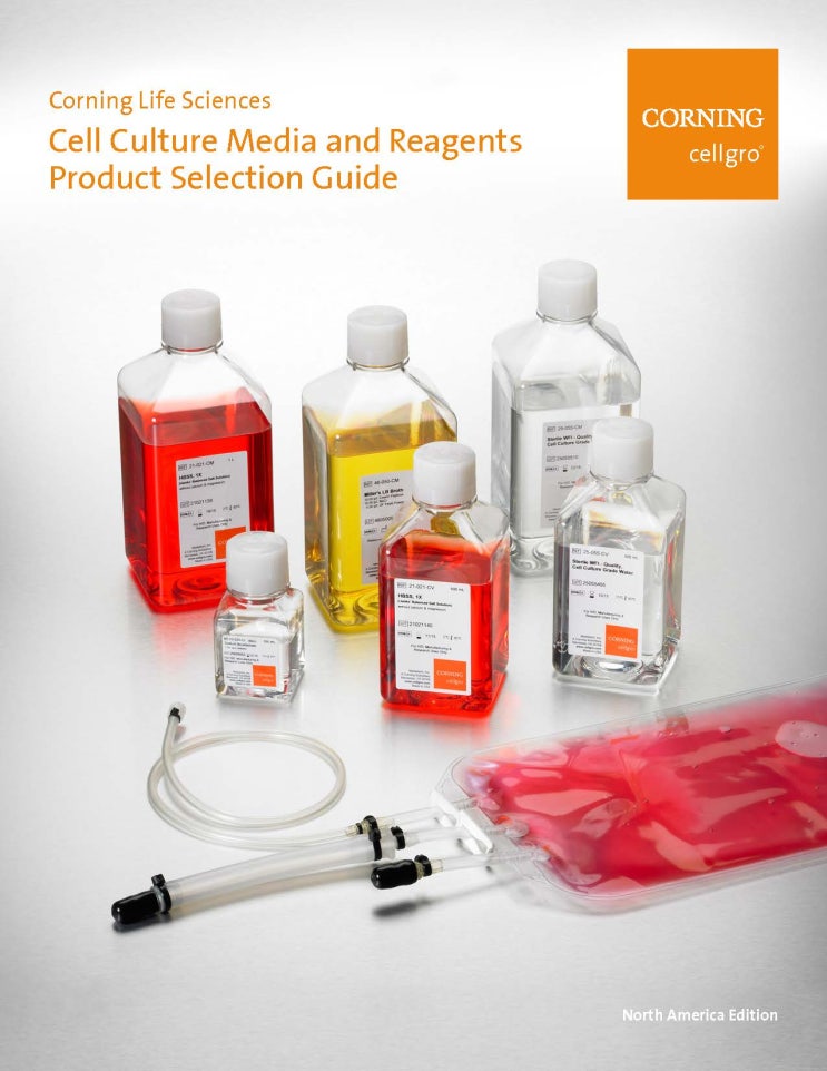 Corning® Fetal Bovine Serum : 네이버 블로그