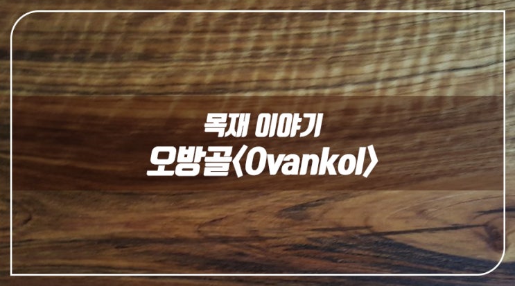 [목재이야기] 오방골 나무 이야기 : 네이버 블로그