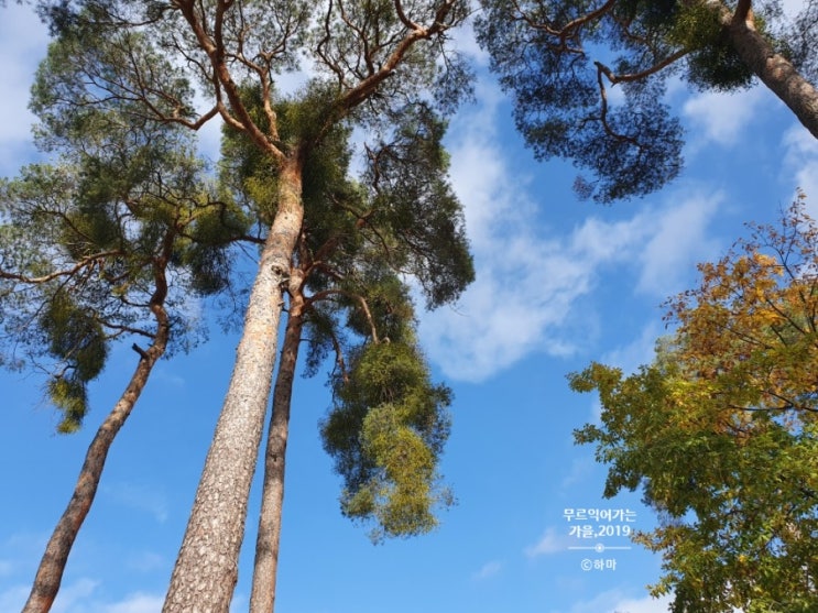 [끄적끄적] 바로 이런 순간에 책을 읽어야 한다는 얘기다. : 네이버 블로그