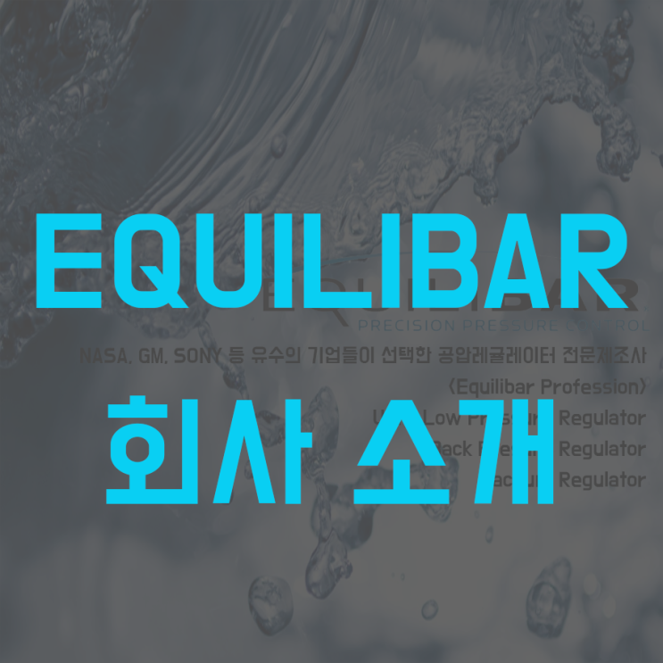 [Equilibar]진공밸브(Vacuum regulator), 배압 제어 밸브(Back Pressure Regulator) 전문 ...