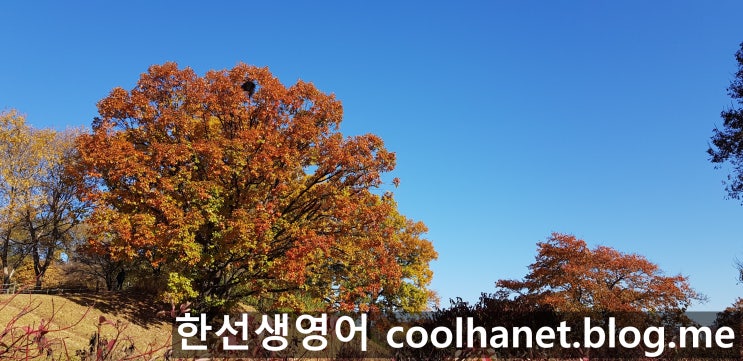 송파 방이동 중고등영어학원의 보성고 창덕여고 내신·수능 대비 사고력 배양 고1 1909모의 빈칸추론 해설 네이버 블로그