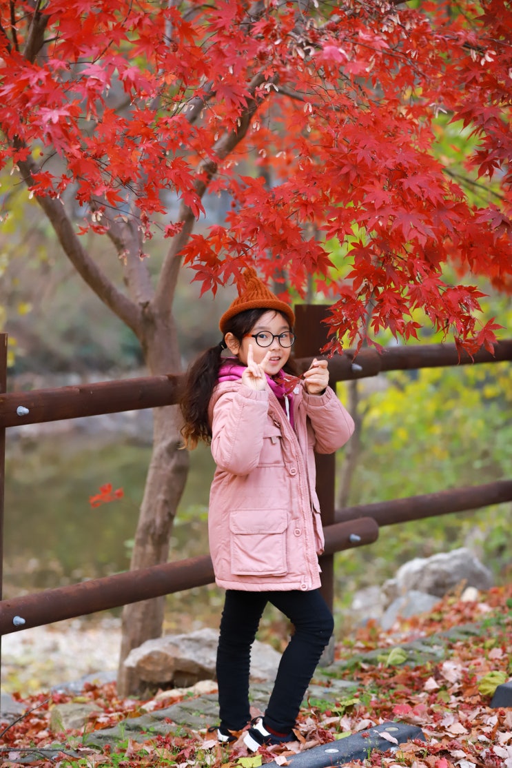 남이자연휴양림 금산산림문화타운 금산생태숲금산휴양림 숲속의집6인실 단풍나무하늘놀이터아이와가볼만한곳충남 내륙여행휴양림