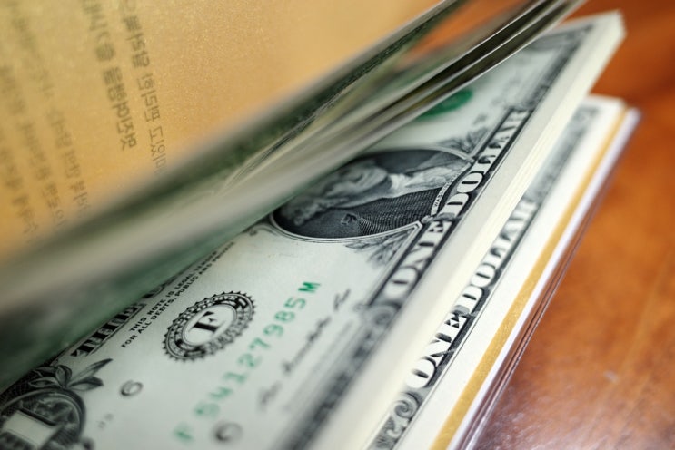 해외여행 선물용으로 좋은 달러북(Dollar book) : 네이버 블로그