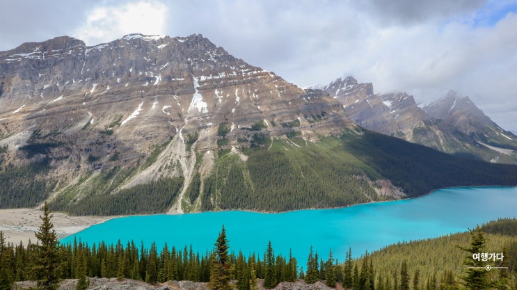 캐나다 로키 아이스필즈 파크웨이 : 갈 곳이 넘쳐나는 최상의 드라이브 코스 : 네이버 블로그