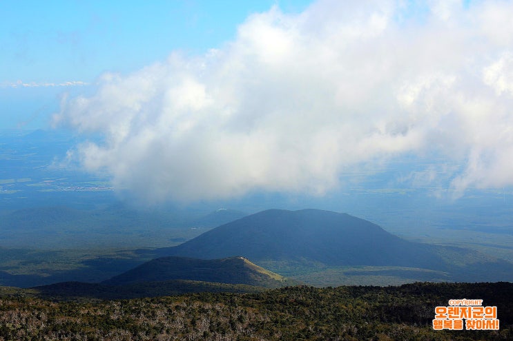 제주 서귀포 Seogwipo - 드디어 한라산! 해발 1,950m. 대한민국 남한 지역에서 가장 높은 산을 만나는 날. 한라산 ...