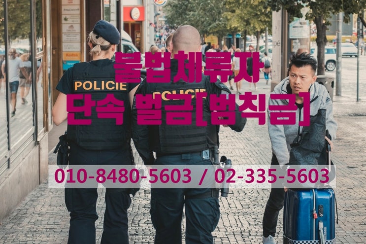 불법체류 외국인 태국 필리핀 베트남 우즈벡 단속 벌금 범칙금 강제퇴거 재입국불법체류자 고용주 처벌 네이버 블로그