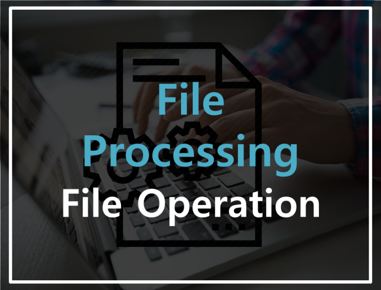 File Processing | File Operation : 네이버 블로그