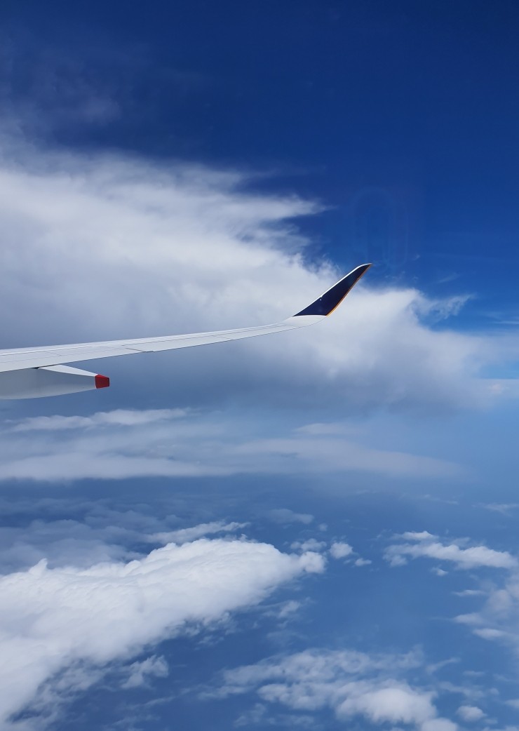 [Singapore] 싱가포르항공 후기 / SQ607 후기 / 싱가포르 입국신고서 : 네이버 블로그