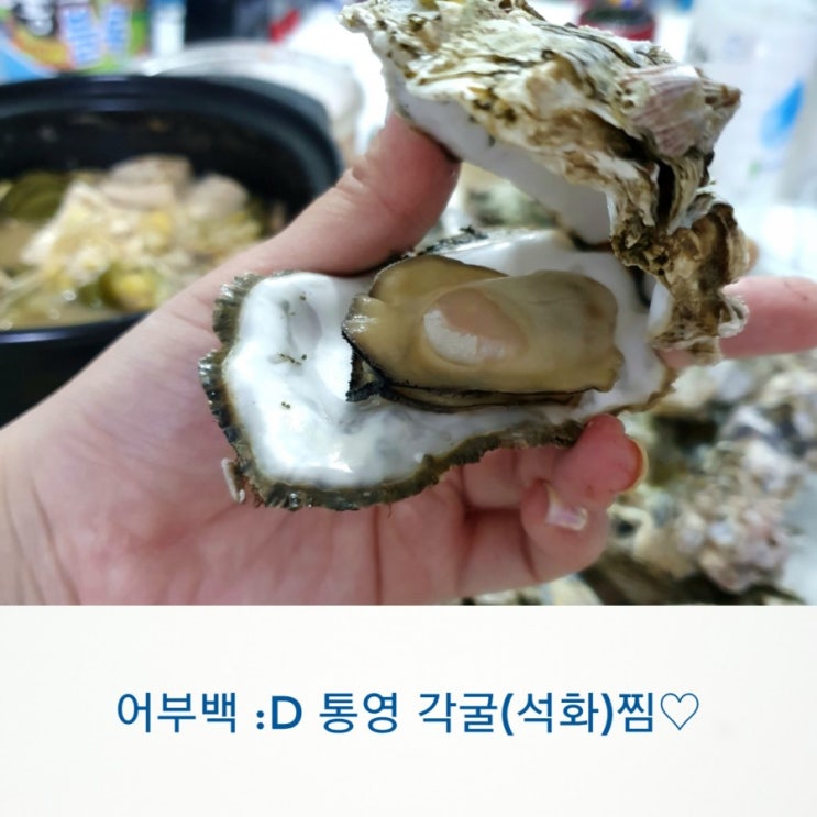 제철음식 각굴 통영굴 D 통영석화로 영양가득 석화찜 만들기 굴효능 굴해감 굴보관방법 네이버 블로그