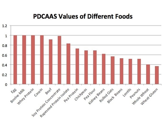 단백질 소화율 보정 아미노산 점수 Protein Digestibility Corrected Amino Acid Score ...
