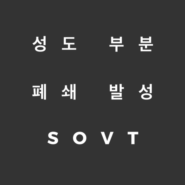 (서울대입구, 낙성대 보컬 레슨, 학원) 성도부분폐쇄발성 (SOVT : Semi Occluded Vocal Tract ...