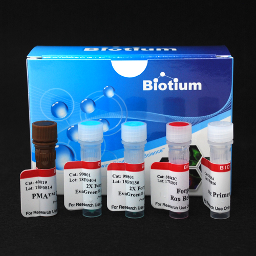 PMA Real-Time PCR Bacterial Viability Kit – 살아있는 MRSA 검출 : 네이버 블로그