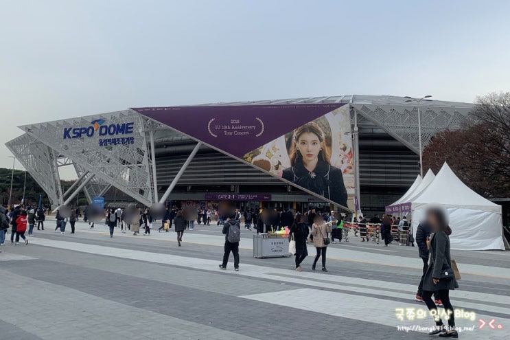 KSPO DOME(서울올림픽 체조경기장) 시야 정보 : 네이버 블로그