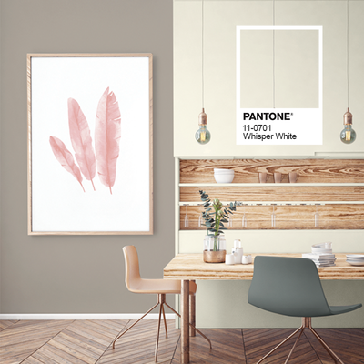 아늑한 화이트 인테리어를 위한 팬톤페인트 컬러 추천! PANTONE 11-0701 Whisper White : 네이버 블로그