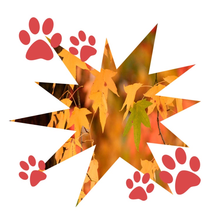 생날선생 Mr Wacky 서류 준비 없이요! : 네이버 블로그