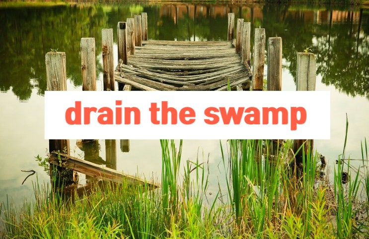 drain the swamp,적폐청산하다 : 네이버 블로그