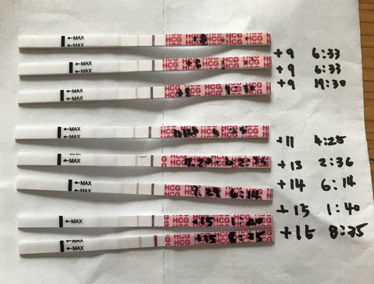 5일 배양 임신테스트기시험관 임테기5일배양 임테기화학적유산화유임테기임테기가진해지지않아요 네이버 블로그