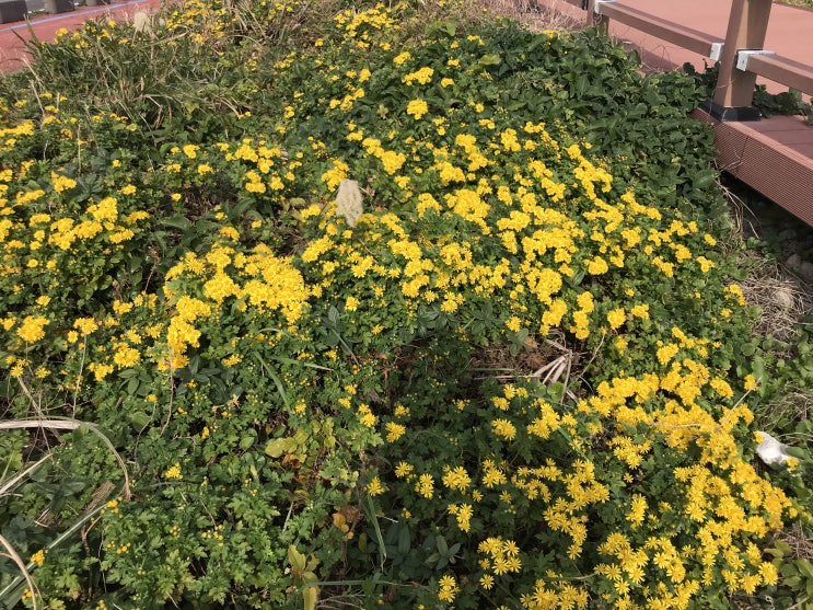 전주시사회혁신센터 성평등혁신스쿨 - 제주도에서 2 : 네이버 블로그