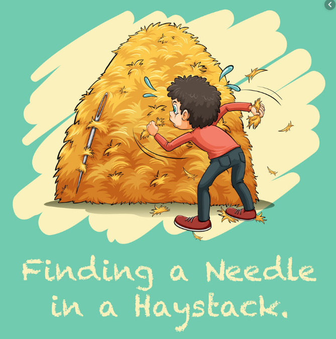 오늘의 영어표현(1071) a needle in a haystack : 네이버 블로그