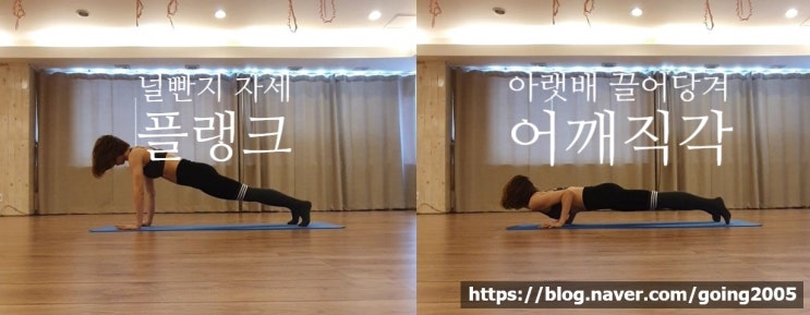일산 마두 요가 요가산토샤수리야 나마스카라a 아사나분석2탄차투랑가 단다 아사나업독 네이버 블로그
