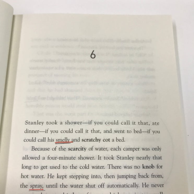 [영어원서] Holes - Chapter 6 / It was too much of a coincidence to be a ...