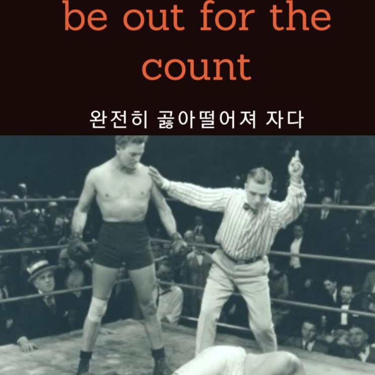 be out for the count/ 푹 자다 : 네이버 블로그