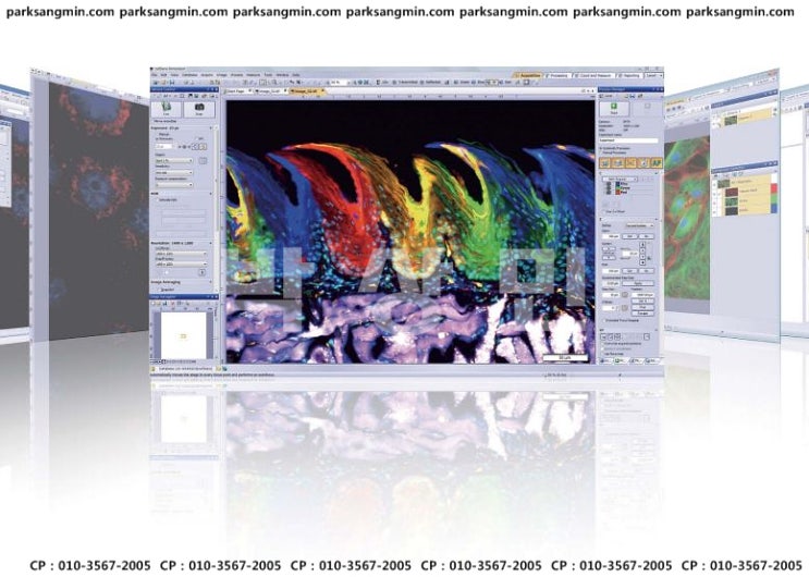 Olympus Cellsens Entry V2.x Upgradable Module check (올림푸스 셀센스 엔트리 V2.x ...