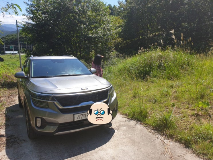 차량리뷰 기아자동차 셀토스 2019 네이버 블로그