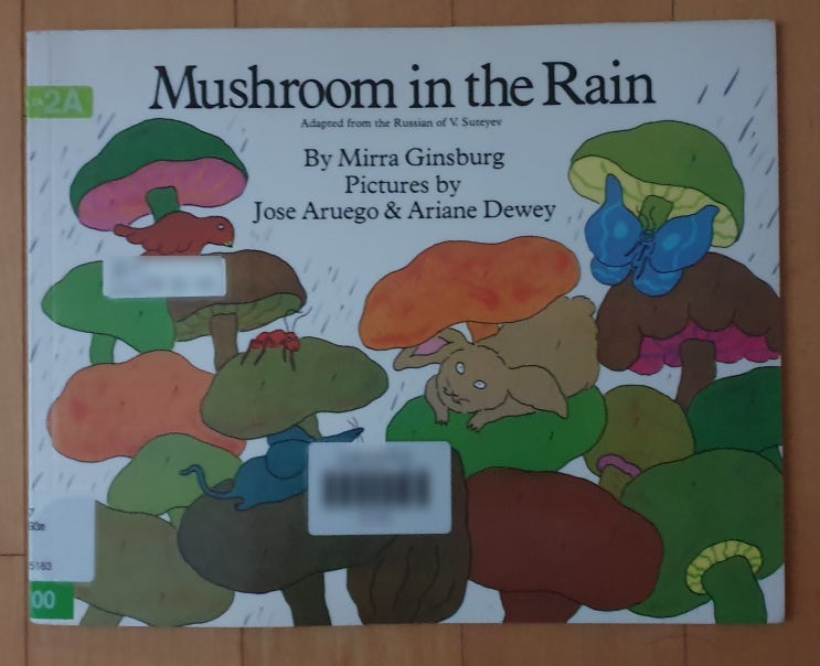 Mushroom in the Rain : 네이버 블로그