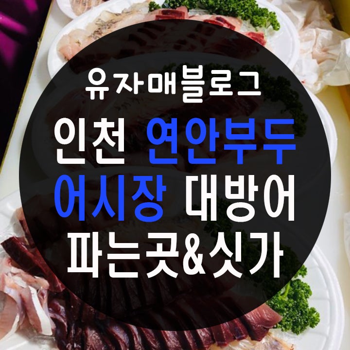인천 연안부두 어시장 방어회 제철 대방어 파는곳 싯가 네이버 블로그