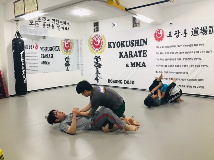 극진공수도 도봉도장 Mma에 특화된 노기 주짓수를 극진가라데 도봉도장 도봉 극진공수도 방학동 극진가라데 실전