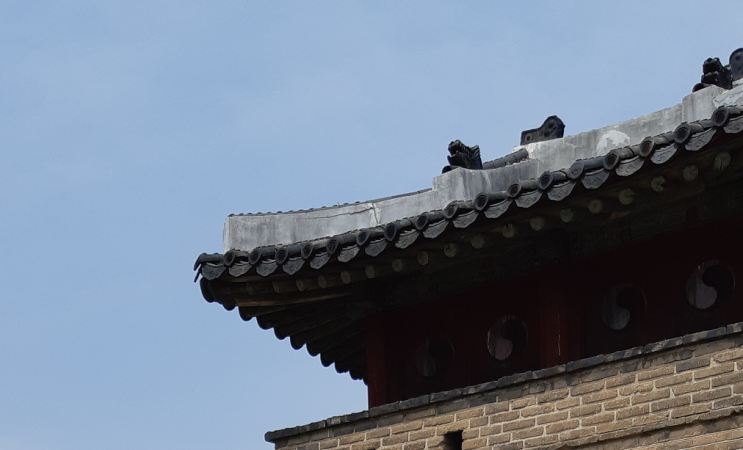 10대 주요암 진단비 삼성화재 태평삼대 네이버 블로그