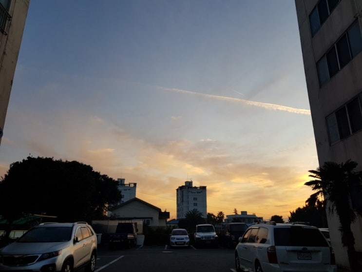 서귀포시에서 제주공항 가는방법 급행버스 리무진 공항버스 : 네이버 블로그