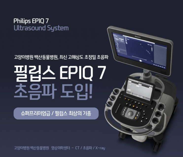 Philips Ultrasound System: 필립스 초음파 EPIQ 7 고양이 병원 백산동물병원 (케이피아이헬스케어코리아 ...