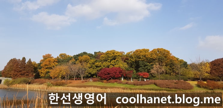 송파구 방이동 잠실 강동구 중고등부영어학원의 내신·수능 위한 고1 1909모의고사 38 문장위치문제 해설 네이버 블로그