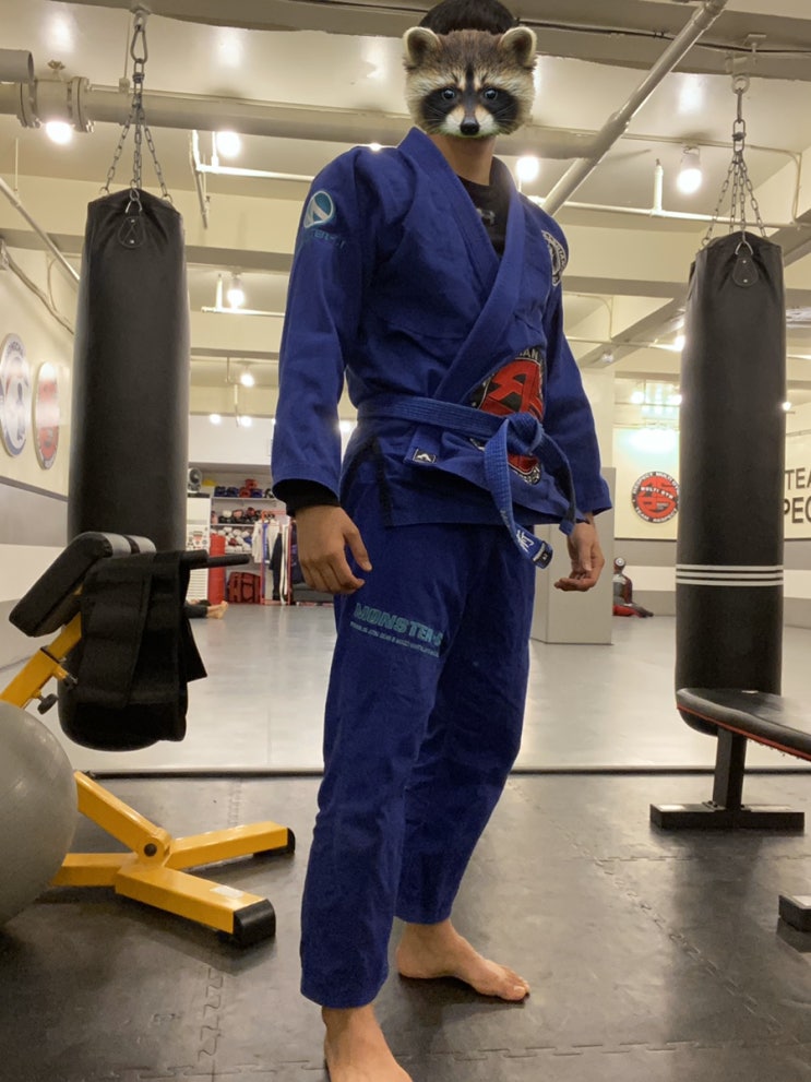 에이블 몬스터기 2.0 (ABLE MONSTER GI 2.0) 후기~ : 네이버 블로그