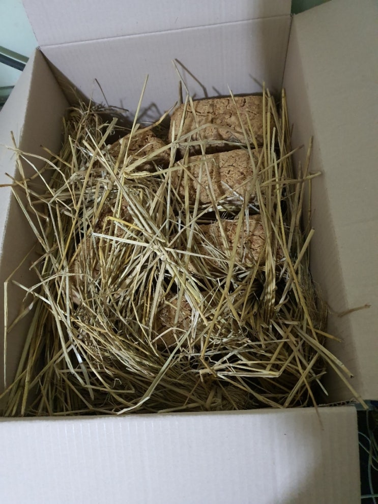 메주발효중입니다 : 네이버 블로그