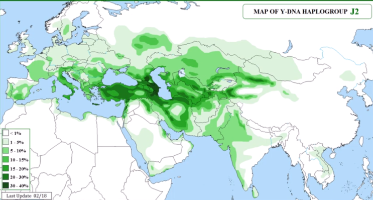 하플로그룹 Haplogroup J2 (Y-DNA) 무임축 체질 : 네이버 블로그