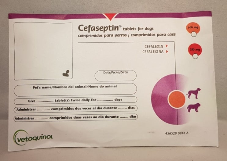 세파셉틴300mg(10정) 세균성 피부감염치료 : 네이버 블로그