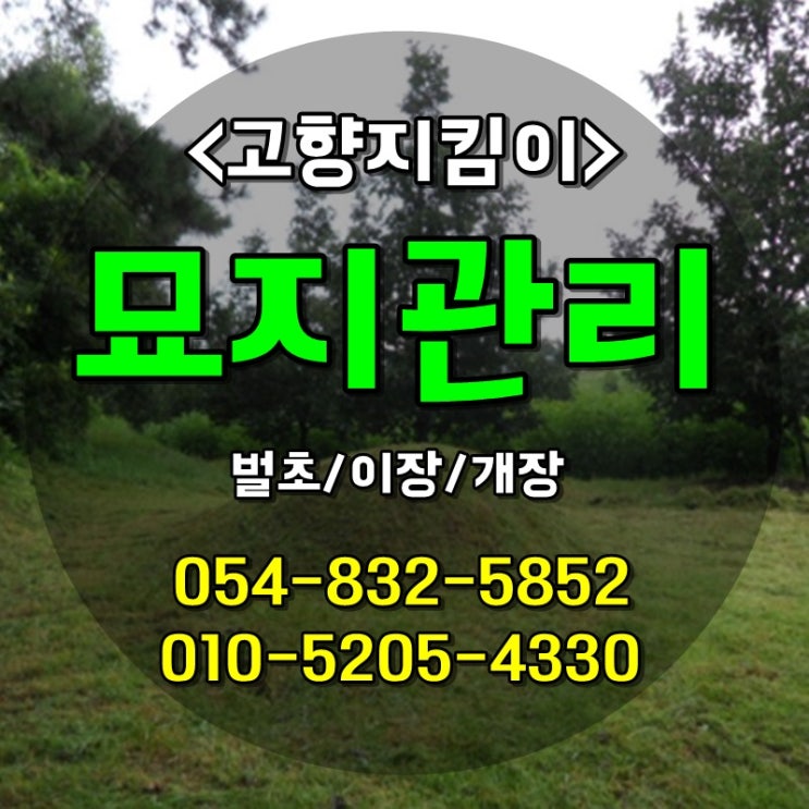 대구묘지 필요한 조경공사 예쁘게 가꿔드리죠 네이버 블로그