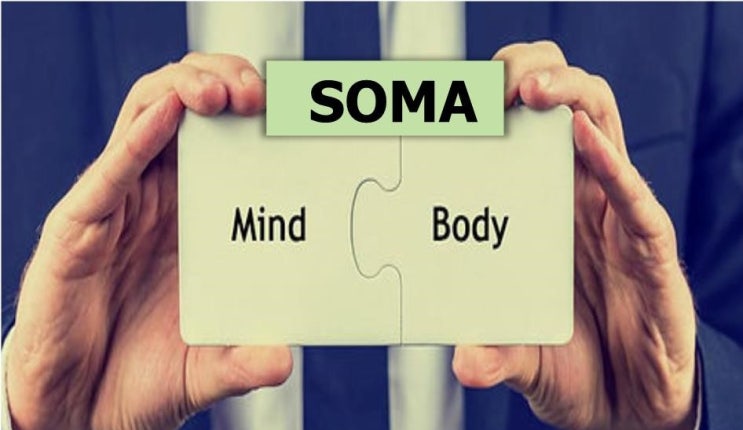두 가지 몸 : Body vs Soma : 네이버 블로그