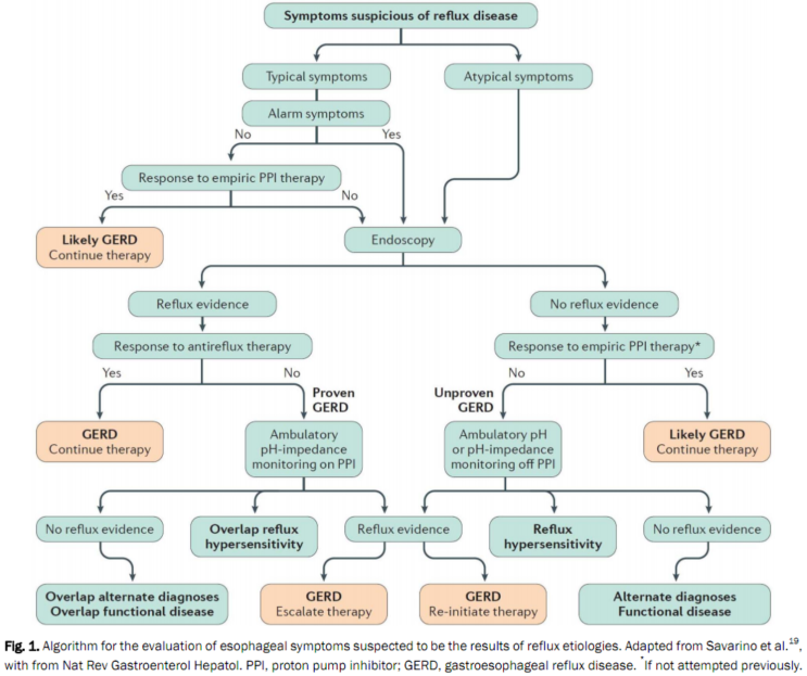기능성 가슴쓰림 (functional heartburn), 역류 과민증 (reflux hypersensitivity), 난치성 ...