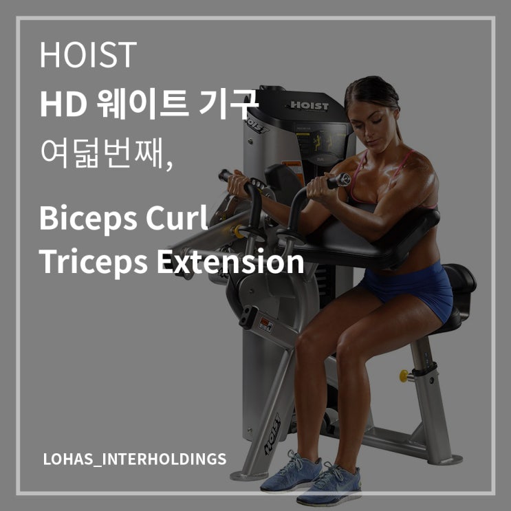 [HOIST]호이스트_Biceps Curl Triceps_플리쳐컬_바이셉스컬_트라이셉스_운동 기구_헬스 기구_피트니스_ 휘트니스 ...