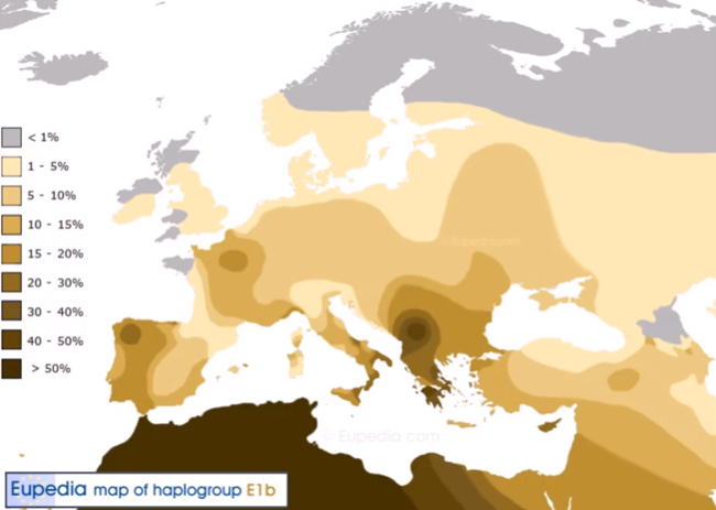 하플로그룹 Haplogroup E1b1b (구 E3b) 을신축과 갑경 무임 혼재 : 네이버 블로그